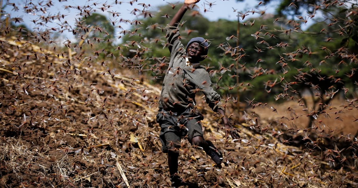 UN: Africa, already suffering from warming, will see worse | The ...