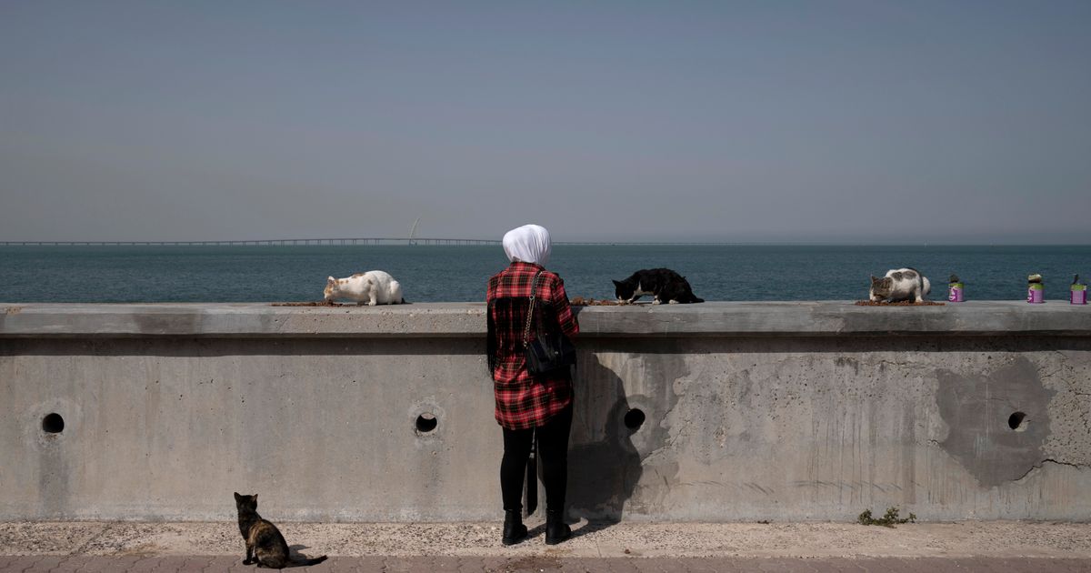 Kuwait, among world’s hottest places, lags on climate action | The ...