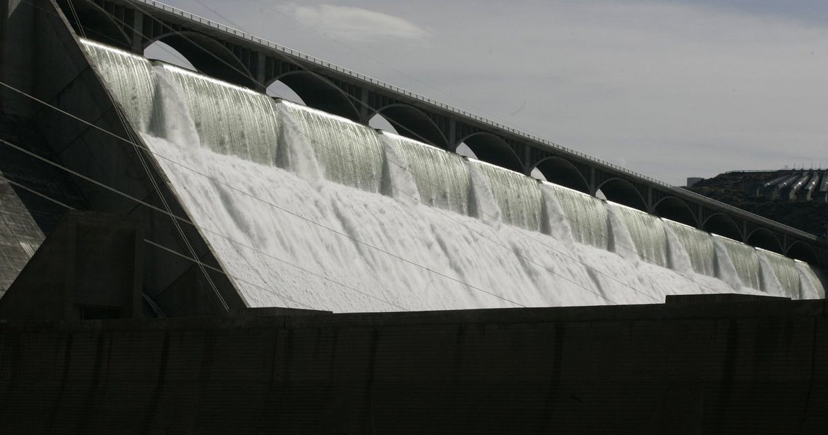 The stories behind Washington’s official state symbols | The Seattle Times