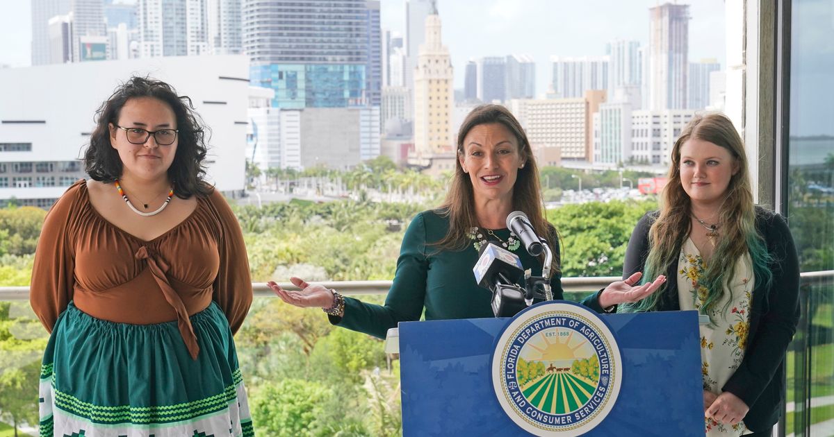 Florida seeks 100% renewable electricity by 2050 | The Seattle Times