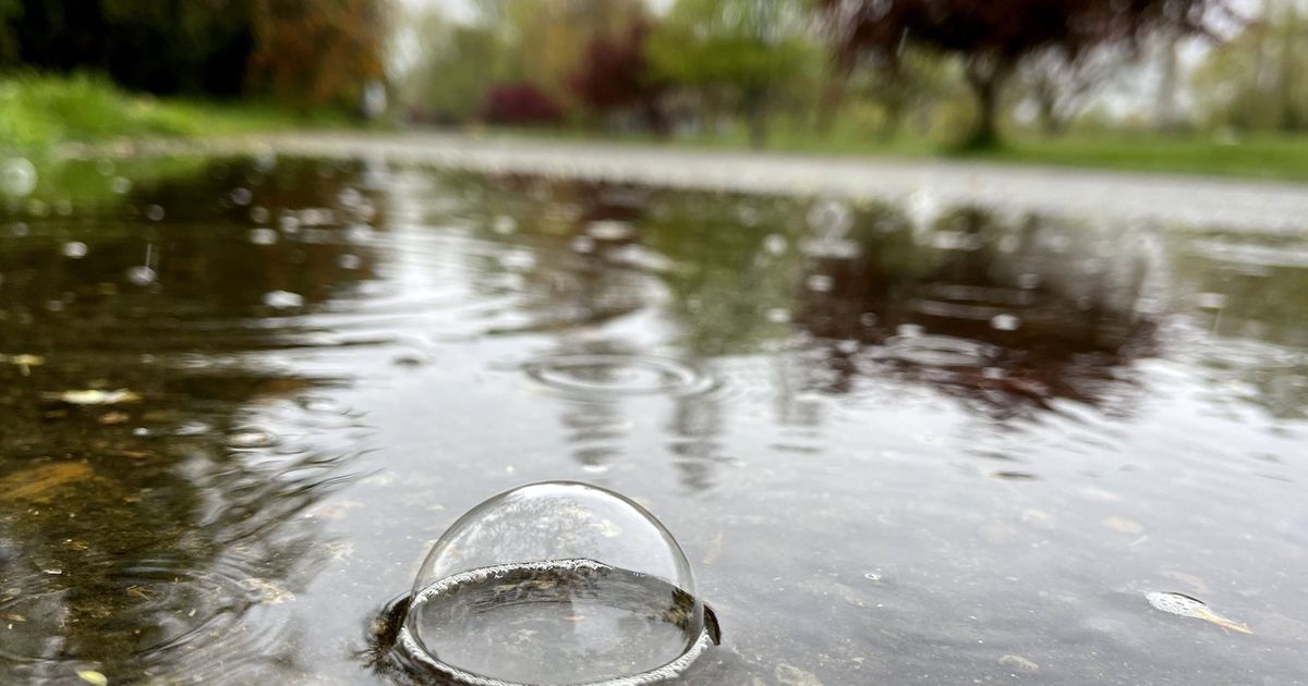 After mostly wet Tuesday, Seattle has chance of sun breaks before ...
