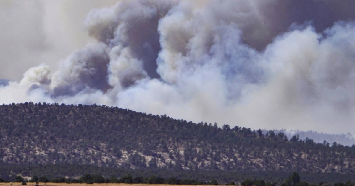 Fire crews close in around massive New Mexico wildfire | The Seattle Times