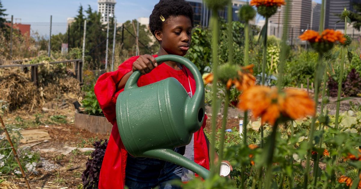 CHOP planted the seeds. 2 years later, the food equity movement in ...
