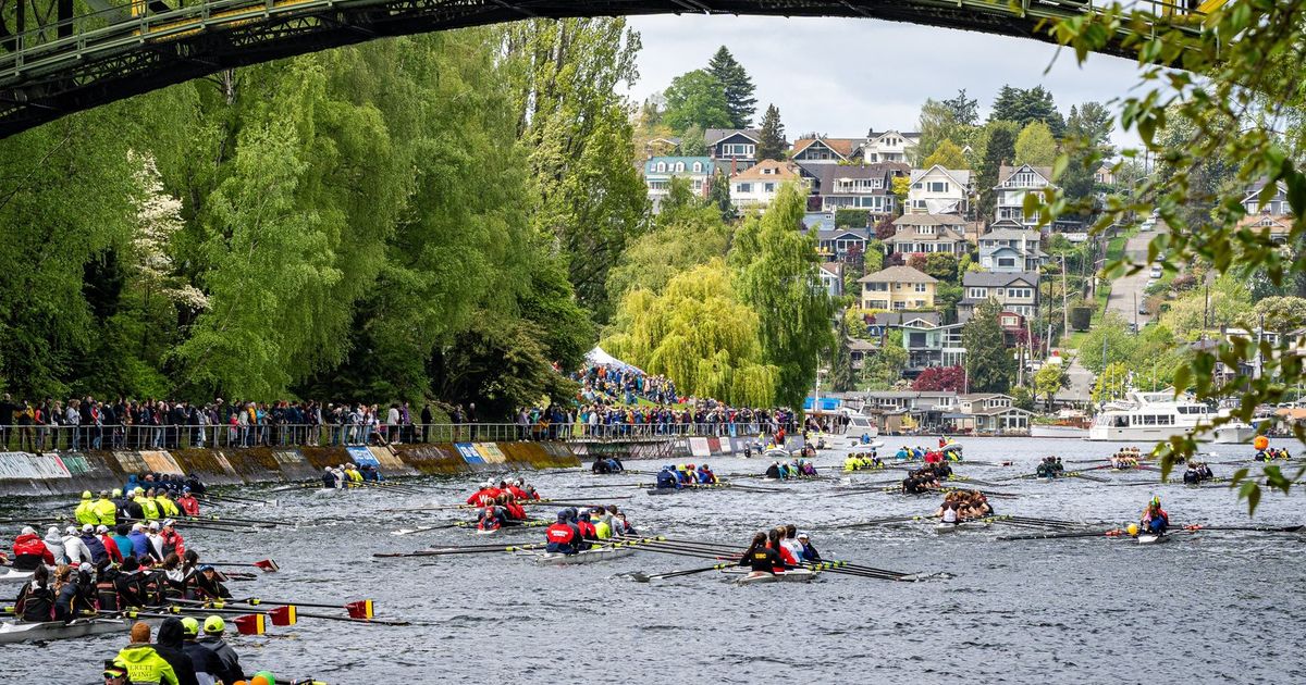 Reader’s photo: A Seattle newbie discovers the joys of rowing at the ...