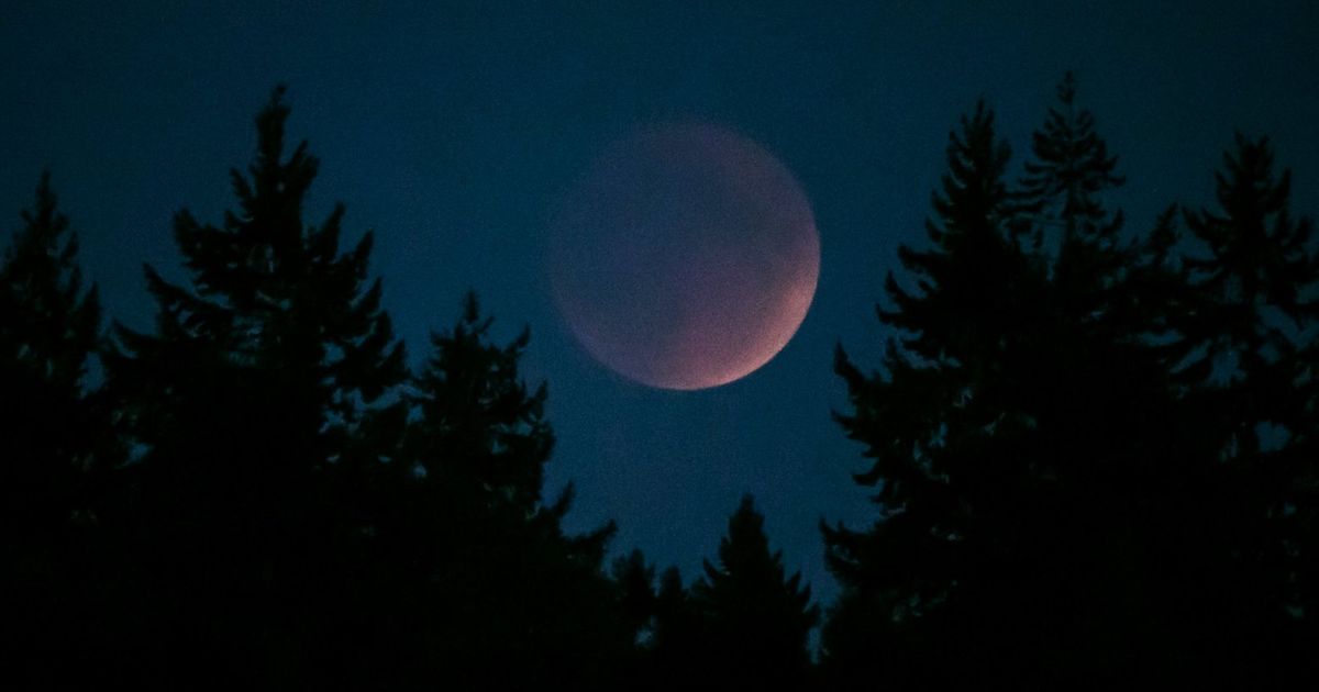 Seattle area could see ‘super flower blood moon’ eclipse on Sunday ...