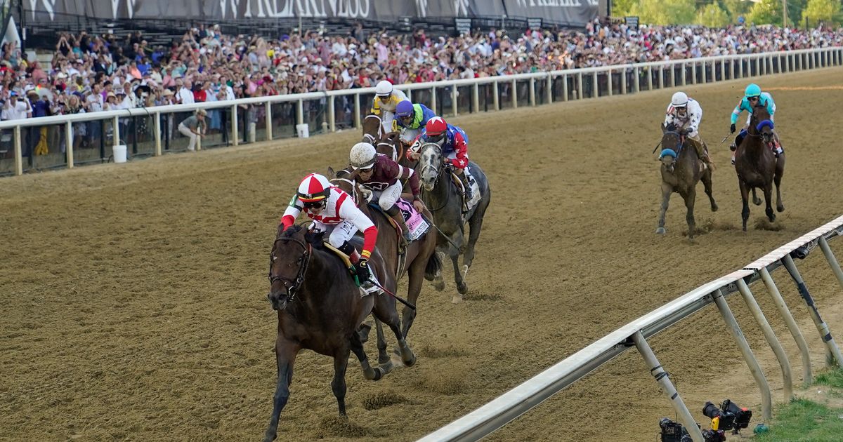 Filly Secret Oath runs hard to finish fourth in Preakness | The Seattle ...