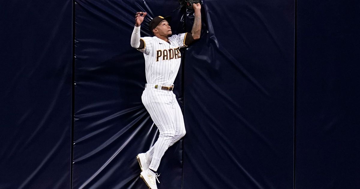 Cubs’ Rivas gets HR when ball bounces out of rookie’s glove | The ...