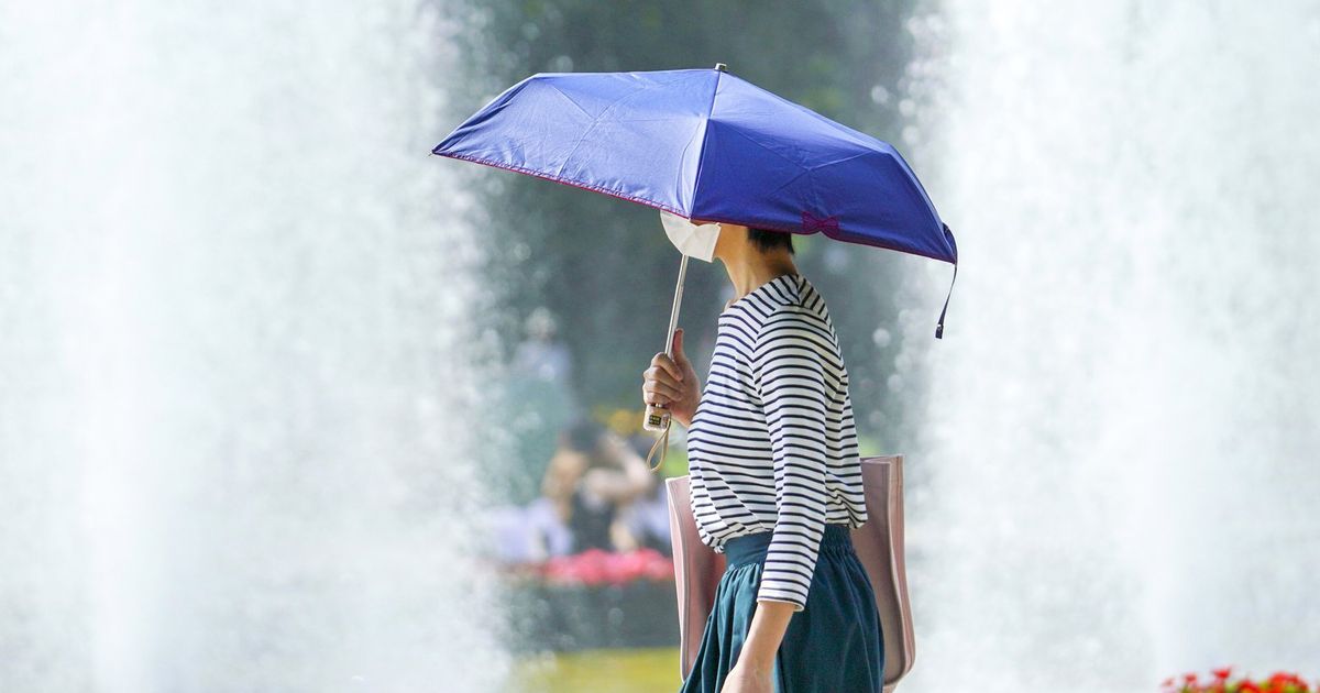 Coronavirus daily news updates, June 14: What to know today about COVID ...