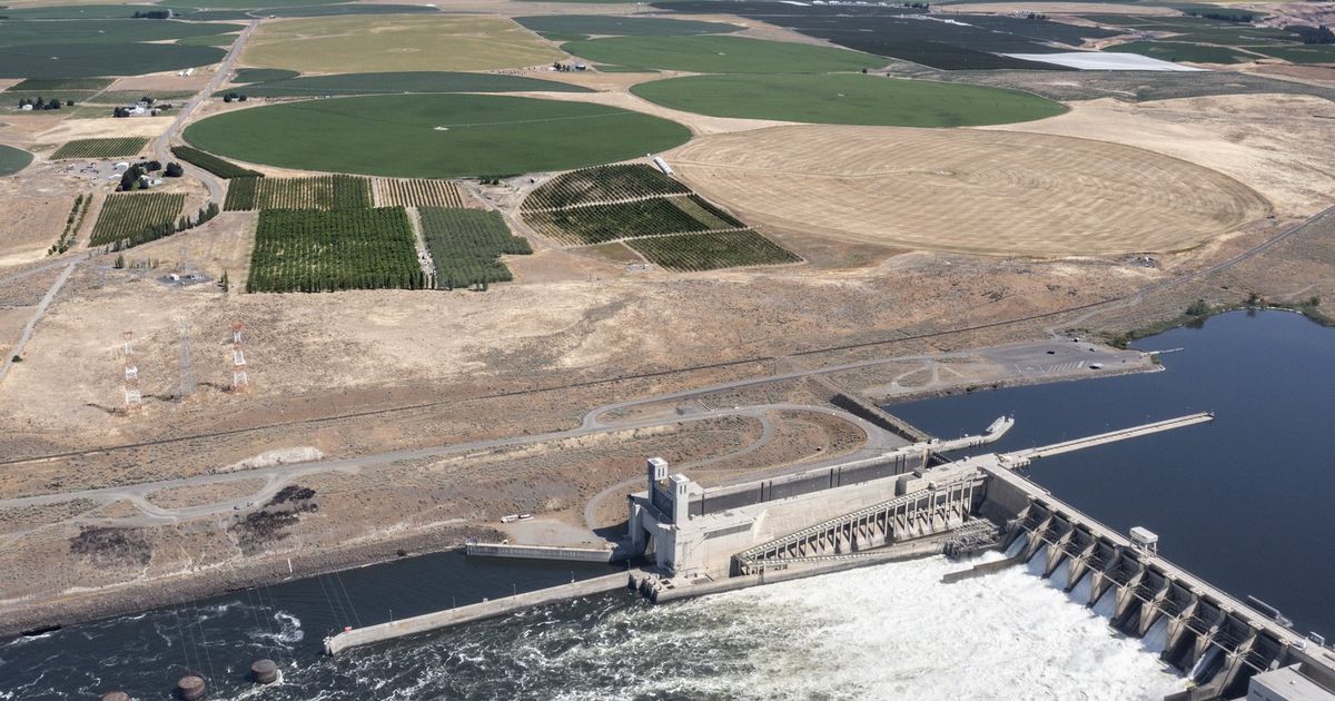 A herculean, worthwhile task before breaching Lower Snake River Dams ...