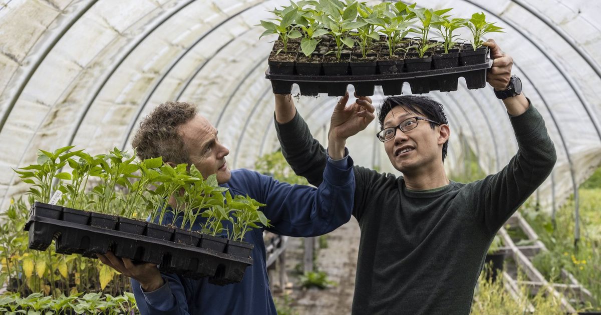 3 Seattle-area restaurants with farms where ‘farm-to-table’ is more ...