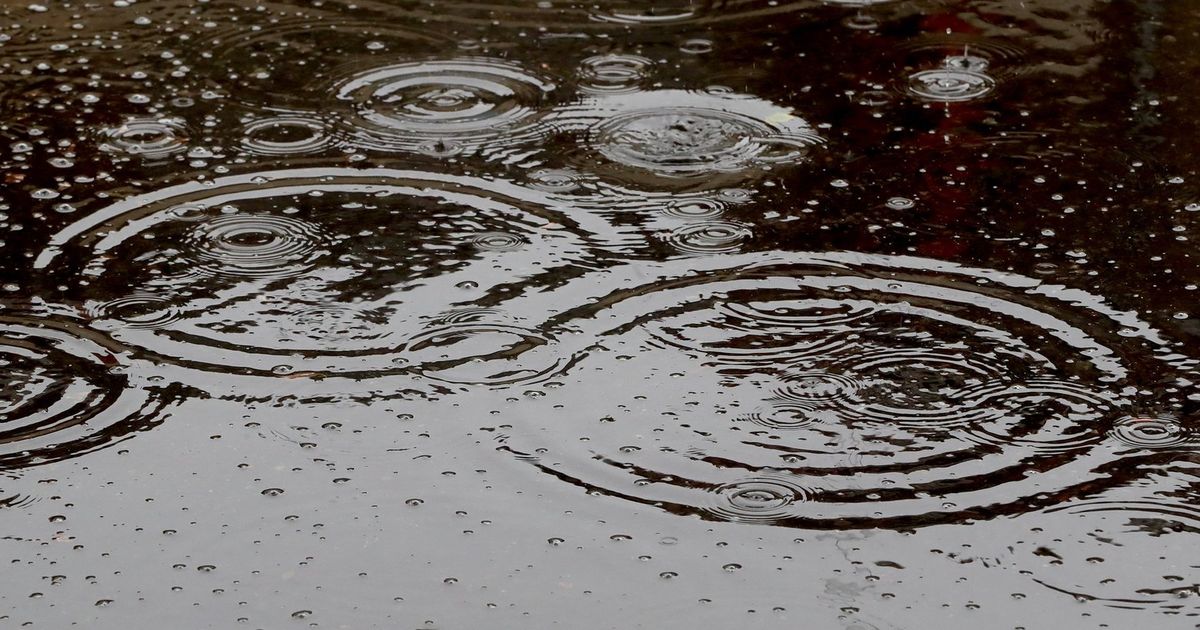 Seattle’s rainy June continues. Here’s what to expect this week | The ...