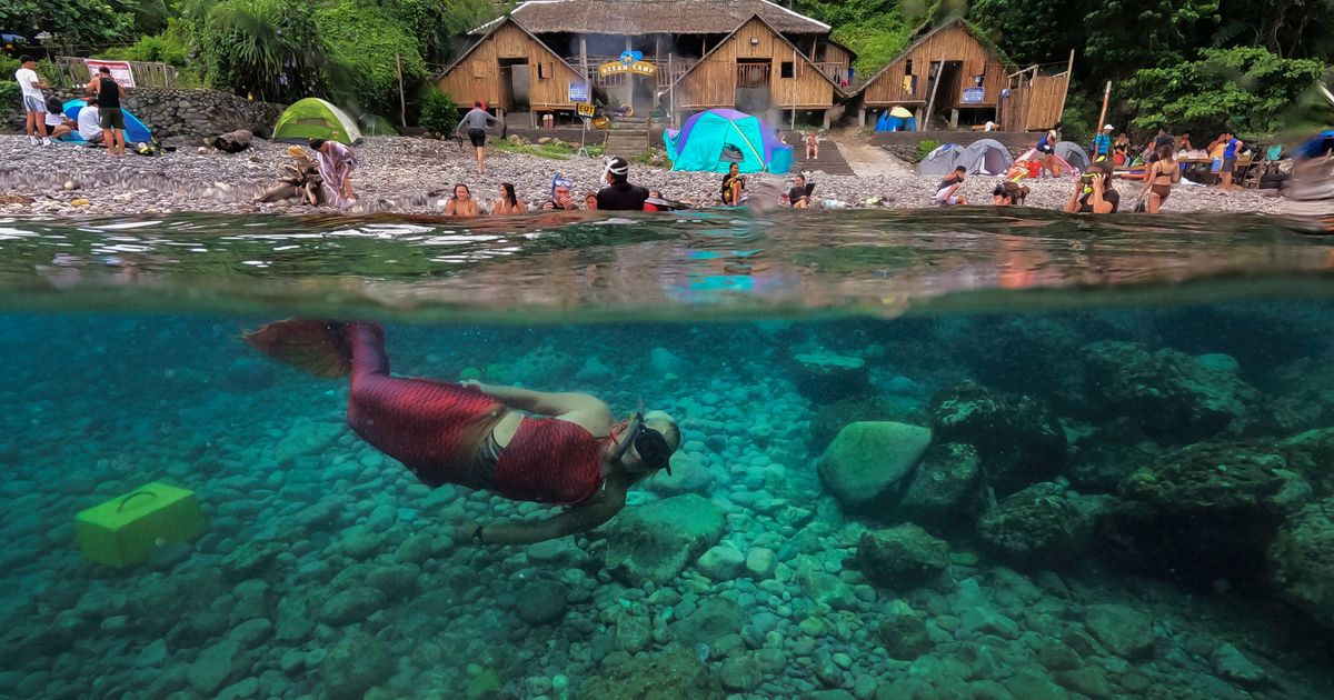 Fin-tastic! Growing ‘mermaiding’ subculture makes a splash | The ...