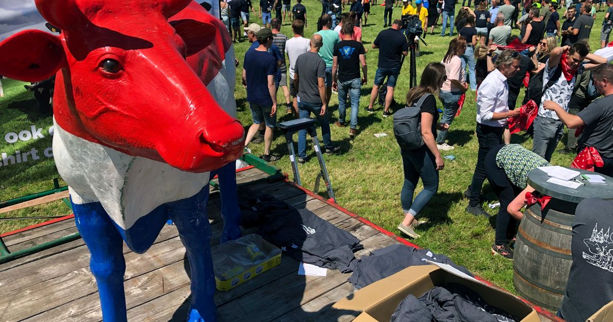 Thousands of Dutch farmers protest, fearing government cuts | The ...