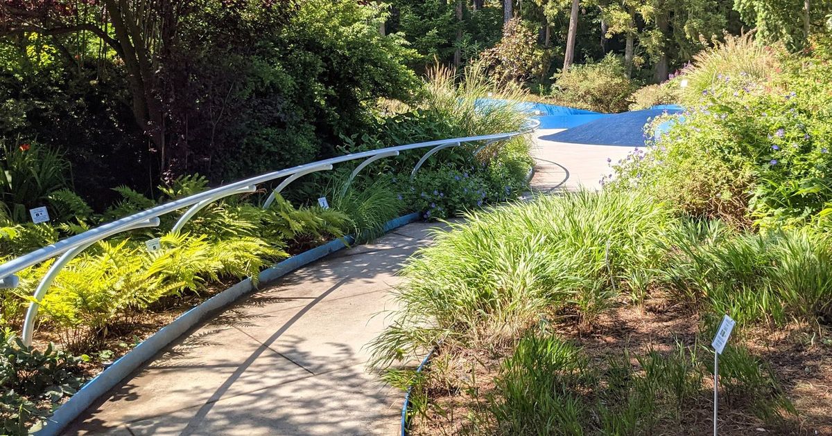 The Seattle Sensory Garden makes nature accessible for everyone to ...