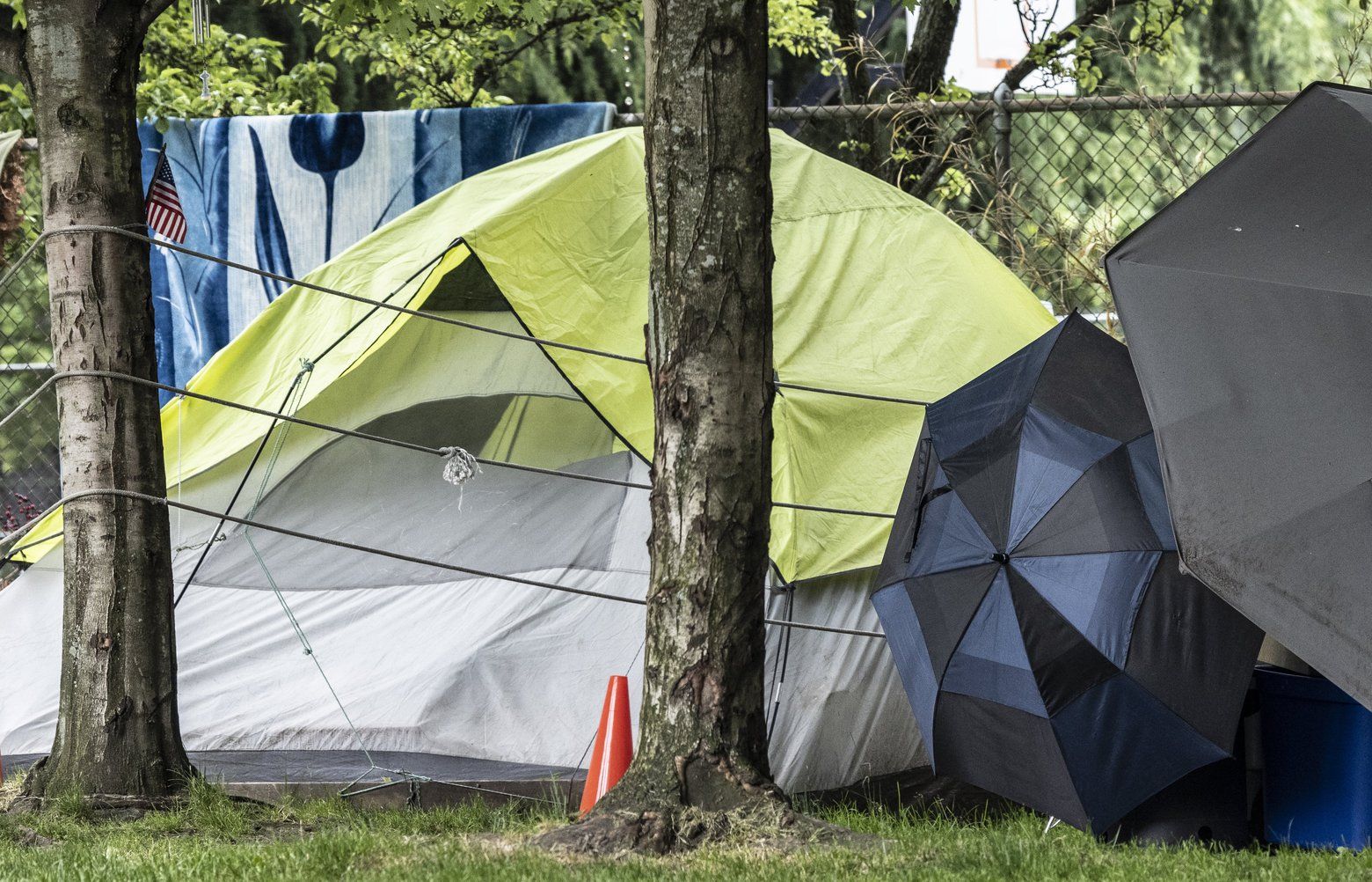 Greg Kim | The Seattle Times