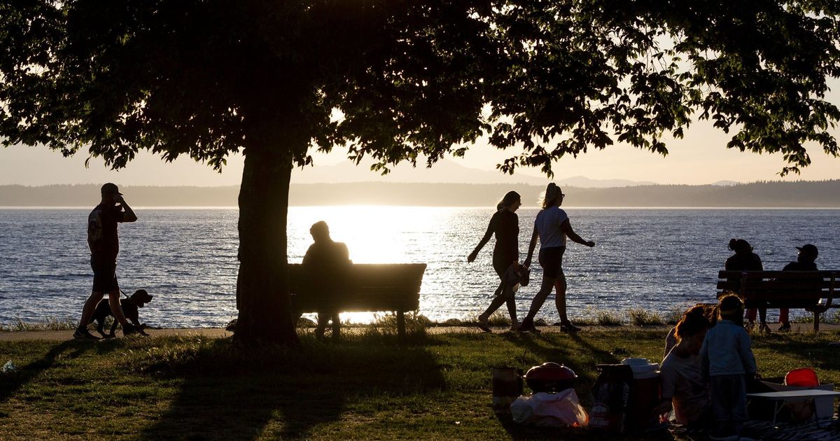 Double The Property Tax For New Improvements And Investments Weigh In On Seattle Parks Funding