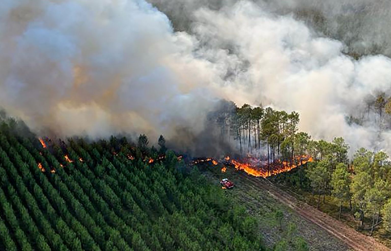 UK issues 1st-ever ‘red’ warning for hot weather next week | The ...