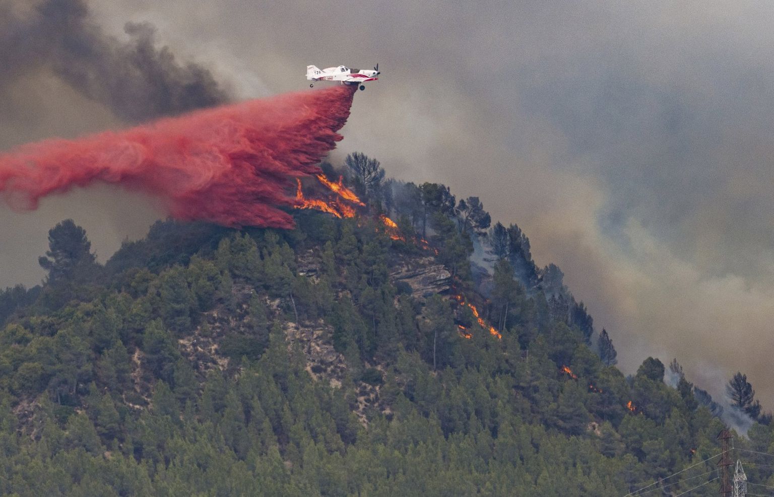 Europe broils in heat wave that fuels fires in France, Spain | The ...