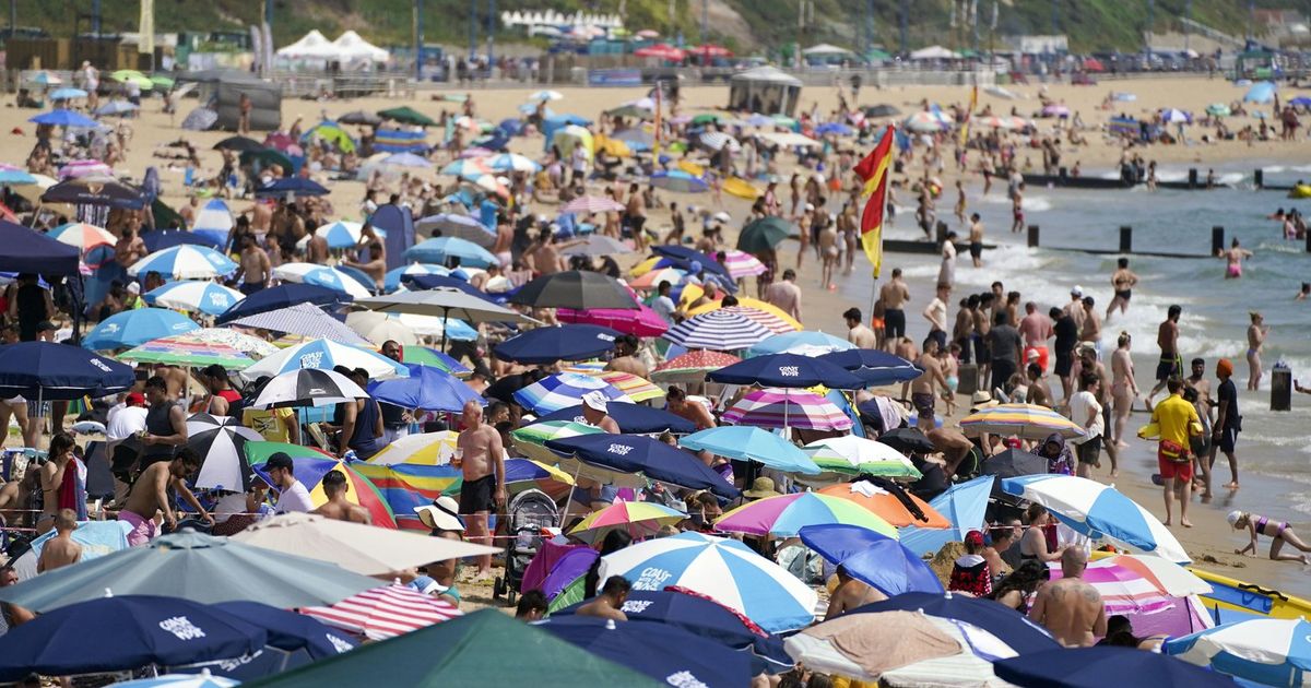 Surrender on climate change bakes catastrophe in the planet’s cake ...