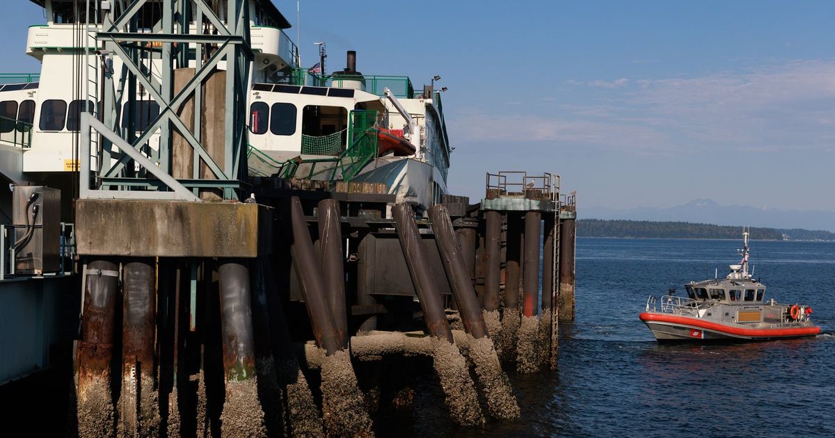 After the WA ferry crash, what’s ahead for passenger service and the ...