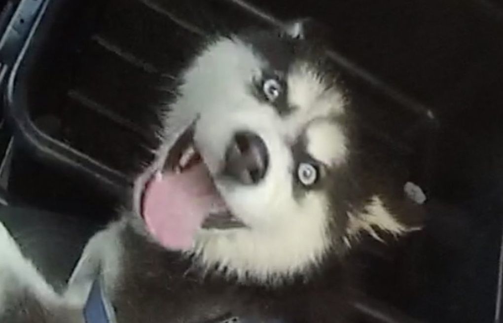 Itzel Luna | The Seattle Times