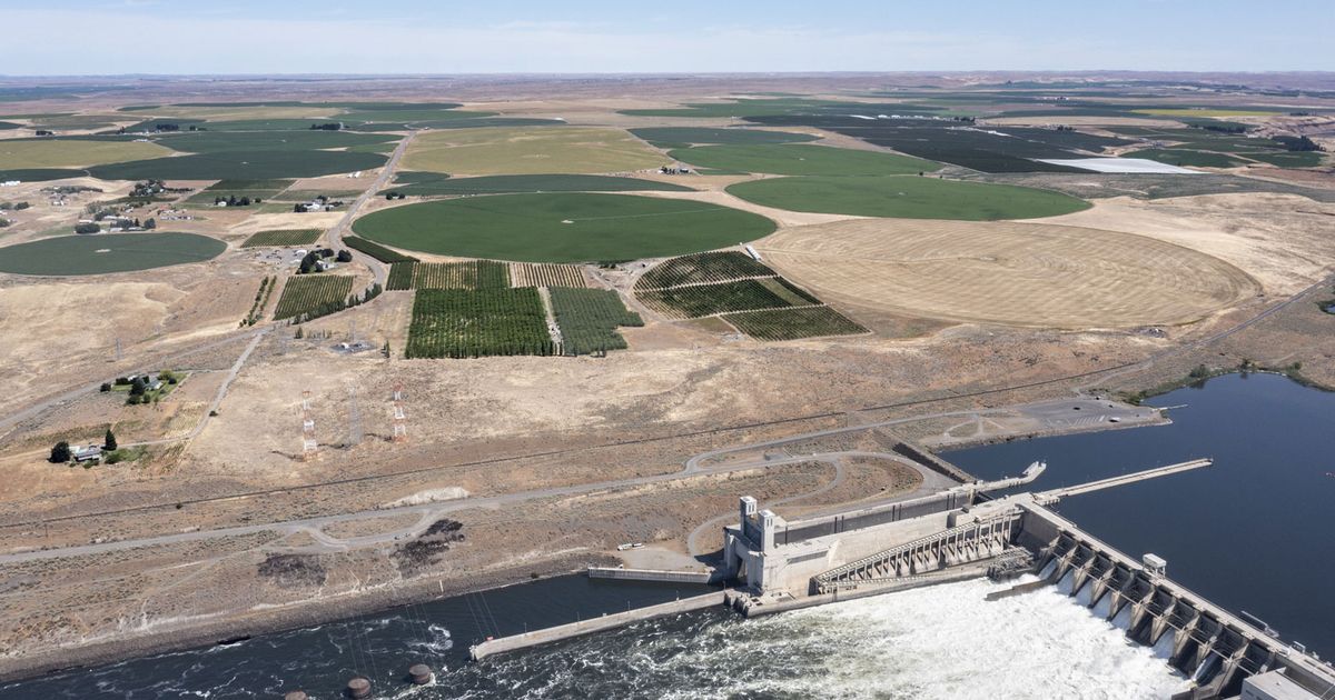 The future of the Lower Snake River Dams: Draft report makes a poor ...