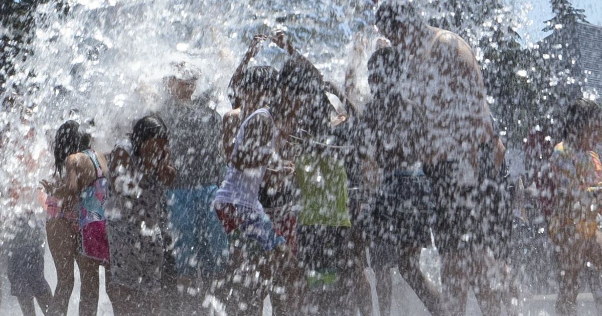 Classic Seattle summer weather is here | The Seattle Times