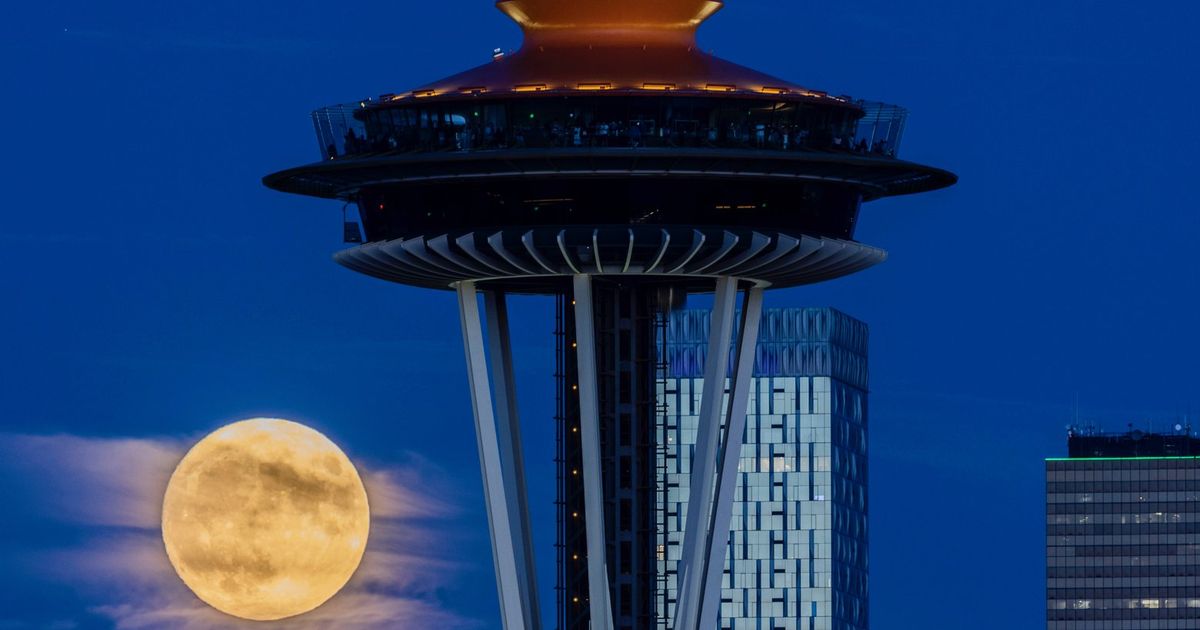 How to see the brightest supermoon of 2022 | The Seattle Times
