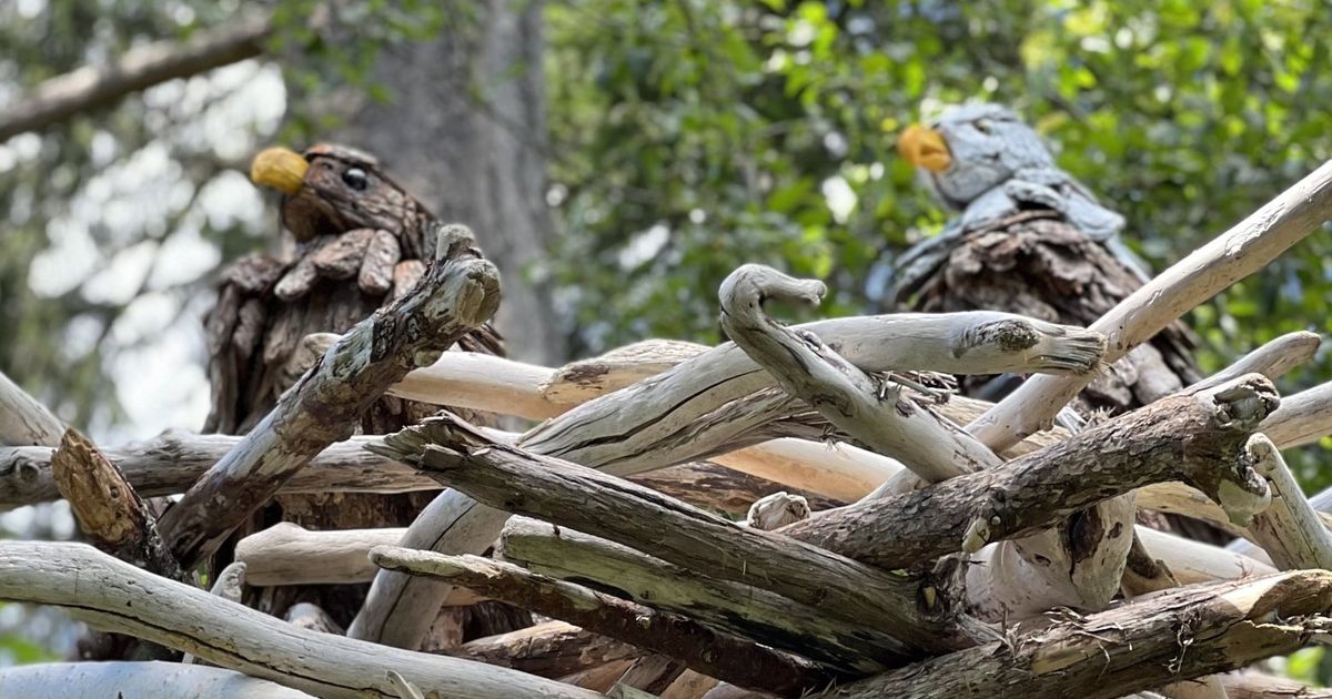 Outside Victoria, a mysterious flock of creatures built from driftwood ...