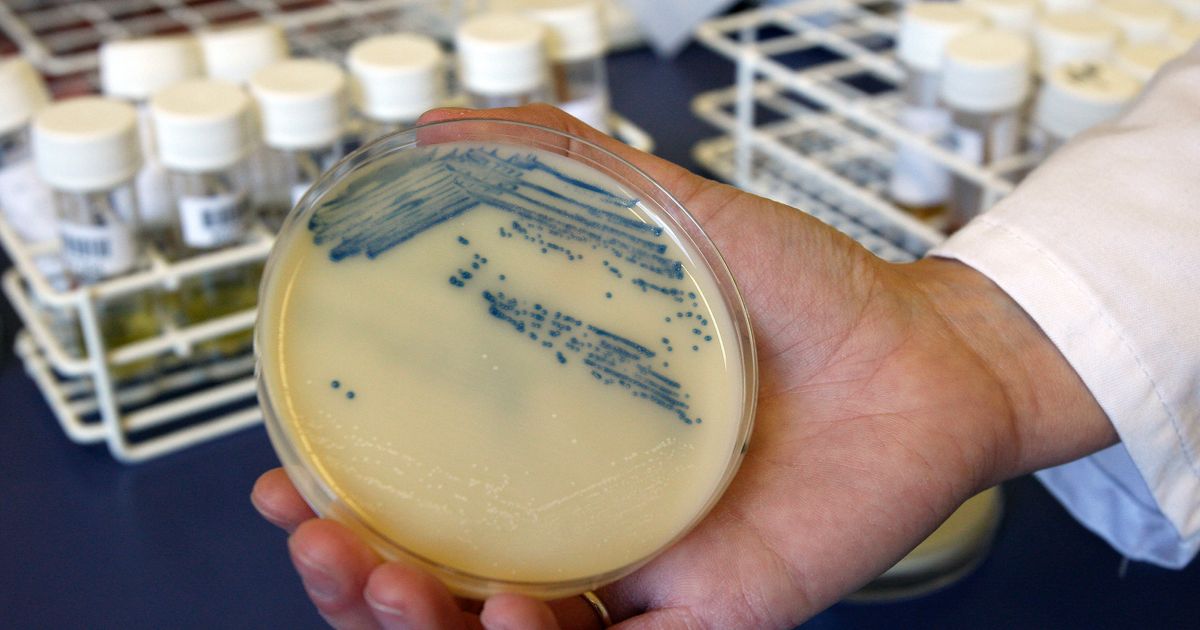 Superbug infections, deaths rose at beginning of pandemic | The Seattle ...