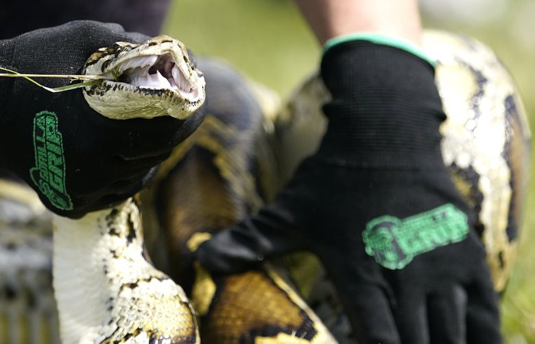 MIAMI | The Seattle Times