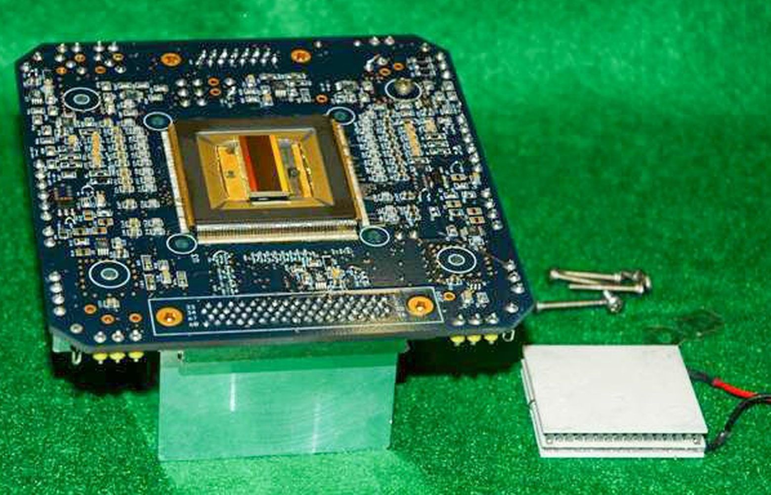 Annette Cary | The Seattle Times