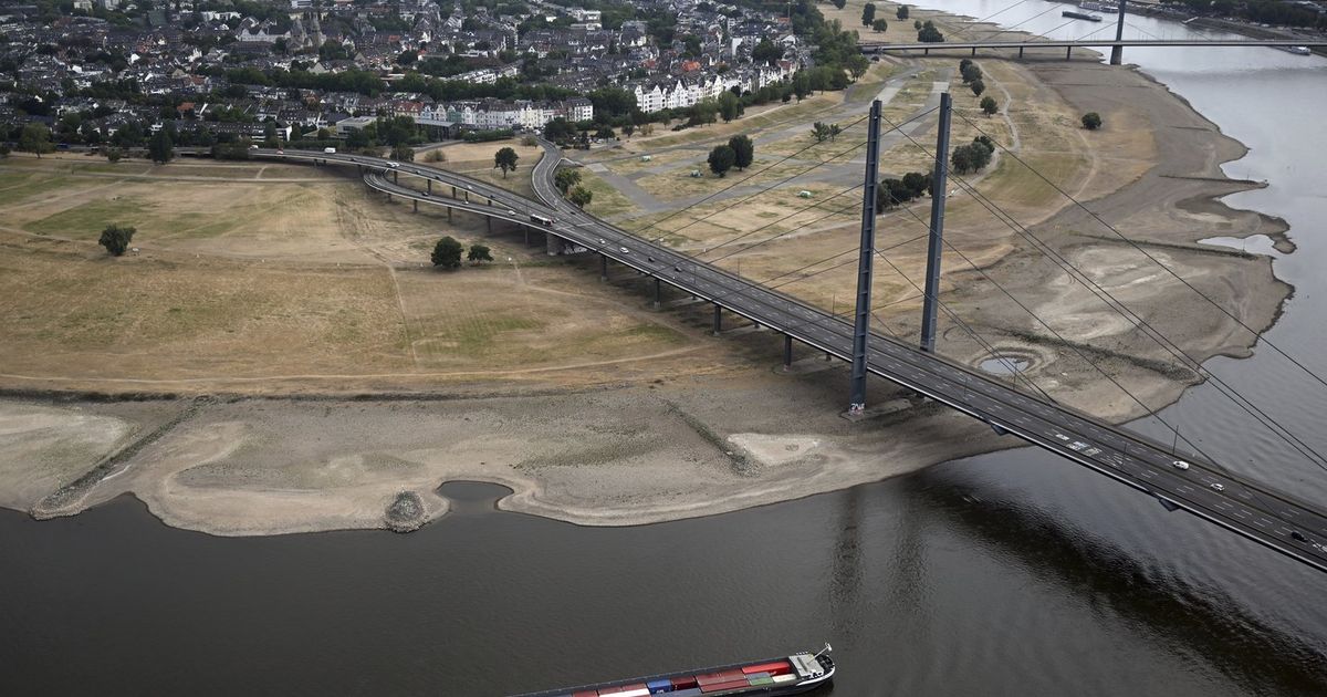 Europe drought: German industry at risk as Rhine level falls | The ...