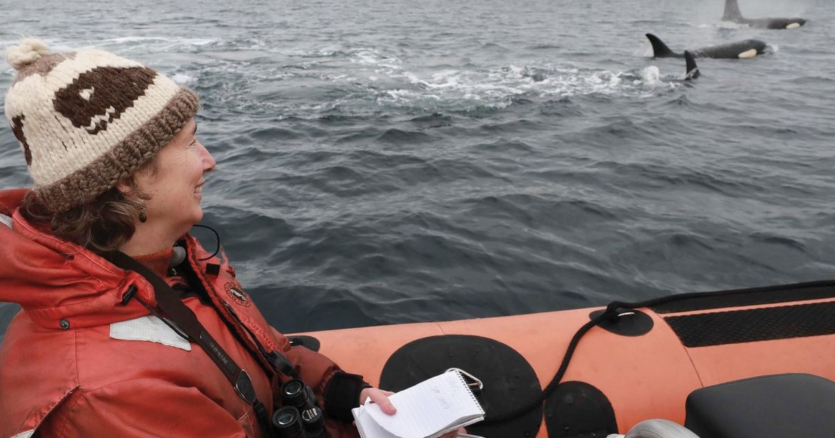 2022 Washington State Book Award finalists announced | The Seattle Times