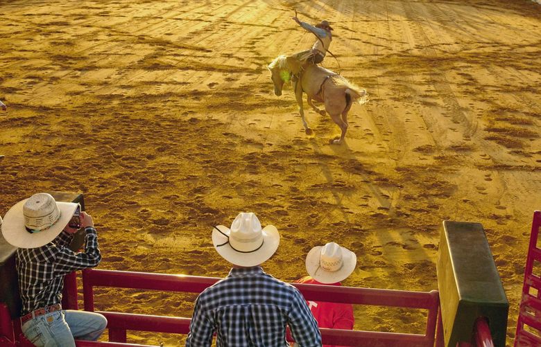 Tracey Tully | The Seattle Times