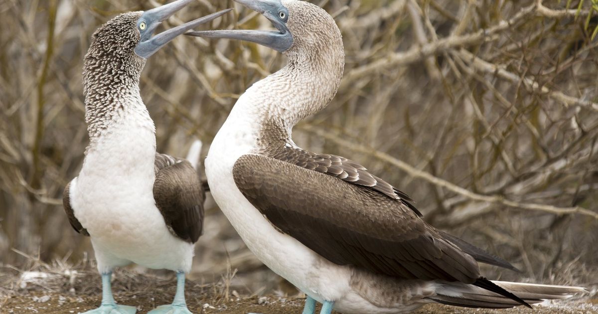 How to Tread Lightly in Fragile Places | The Seattle Times