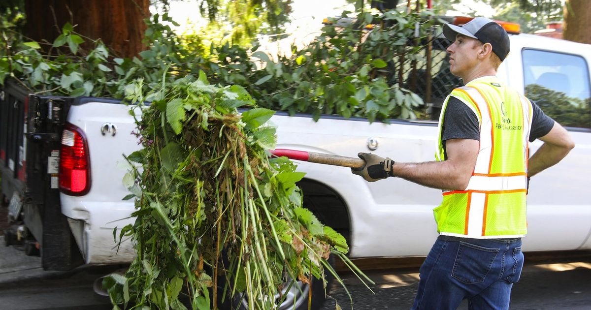 Seattle program helps homeless people and neighborhoods at the same ...