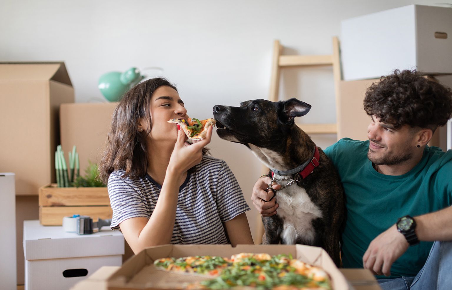 Conner Homes | Advertisers | The Seattle Times