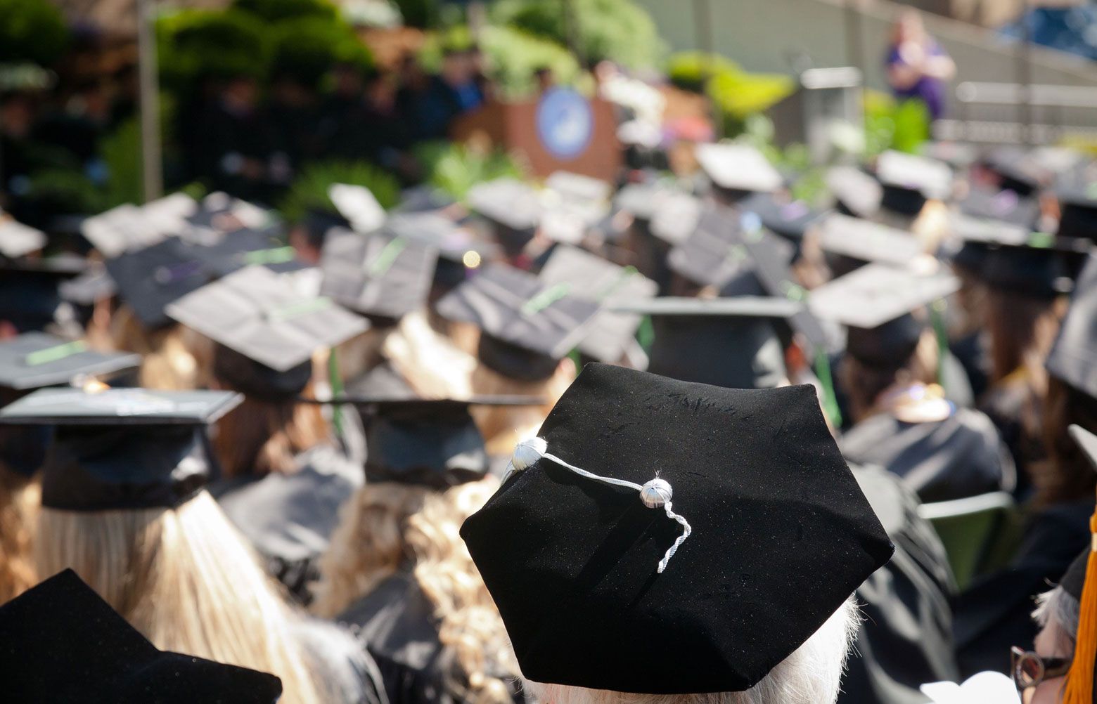 Judge Jonathan D Gerber Deals | loughaty.com