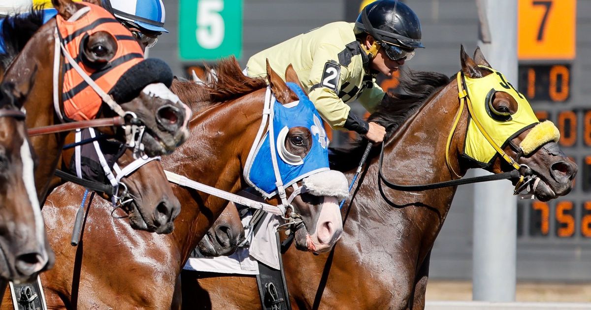 Longshots have their day on the Longacres Mile undercard | The Seattle ...