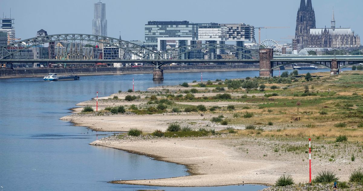 Rhine River could fall below critical mark, risking industry | The ...