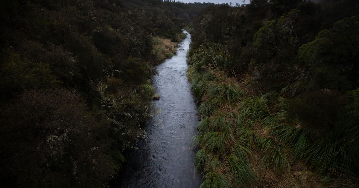 Whanganui River ‘always makes things better for me’ | The Seattle Times