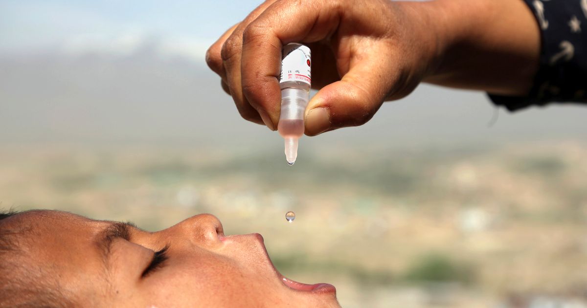 Polio in US, UK and Israel reveals rare risk of oral vaccine | The ...