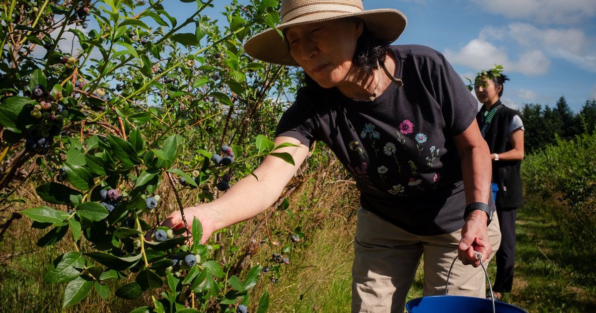 12 things to do in the Seattle area this Labor Day Weekend | The ...