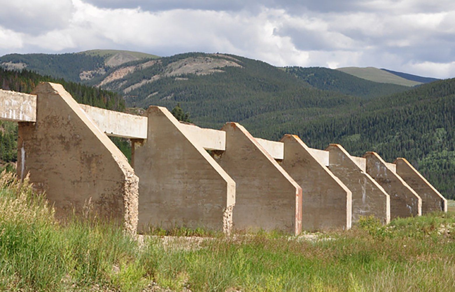 Maxine Joselow | The Seattle Times