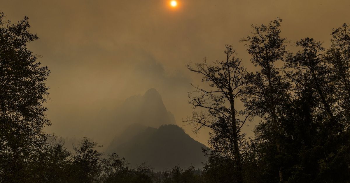 Seattle’s 2022 smoke and fire season likely to be among our lightest ...