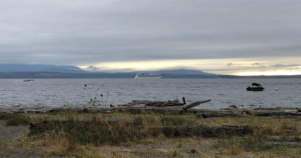 1 dead, 9 unaccounted for in floatplane crash near Whidbey Island | The ...