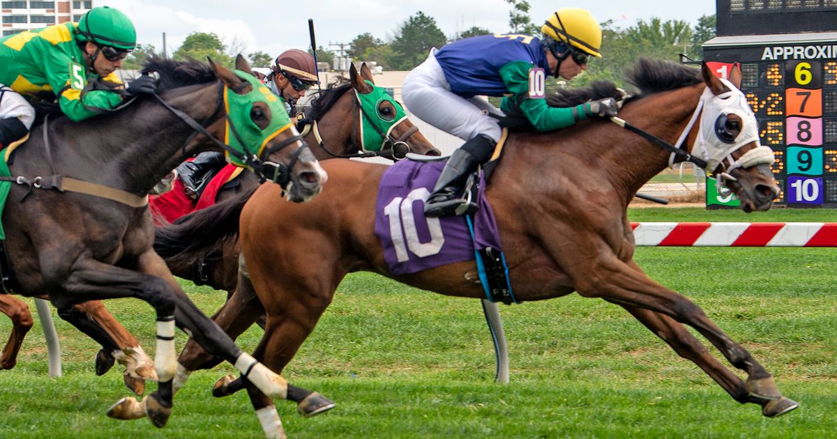 Horse bred by Queen Elizabeth II wins race at Pimlico | The Seattle Times