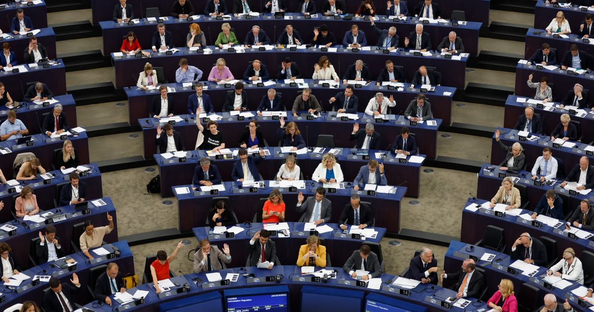 EU lawmakers support ban of goods linked to deforestation | The Seattle ...