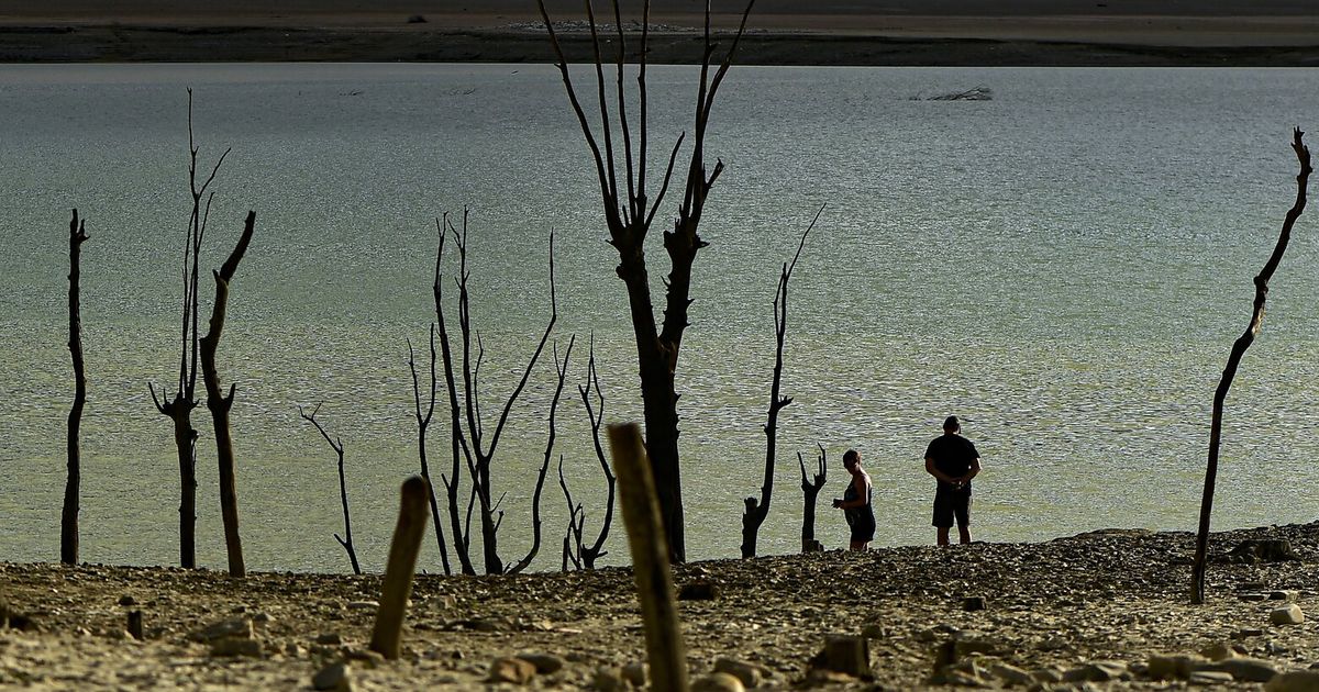 Climate change made summer drought 20 times more likely | The Seattle Times